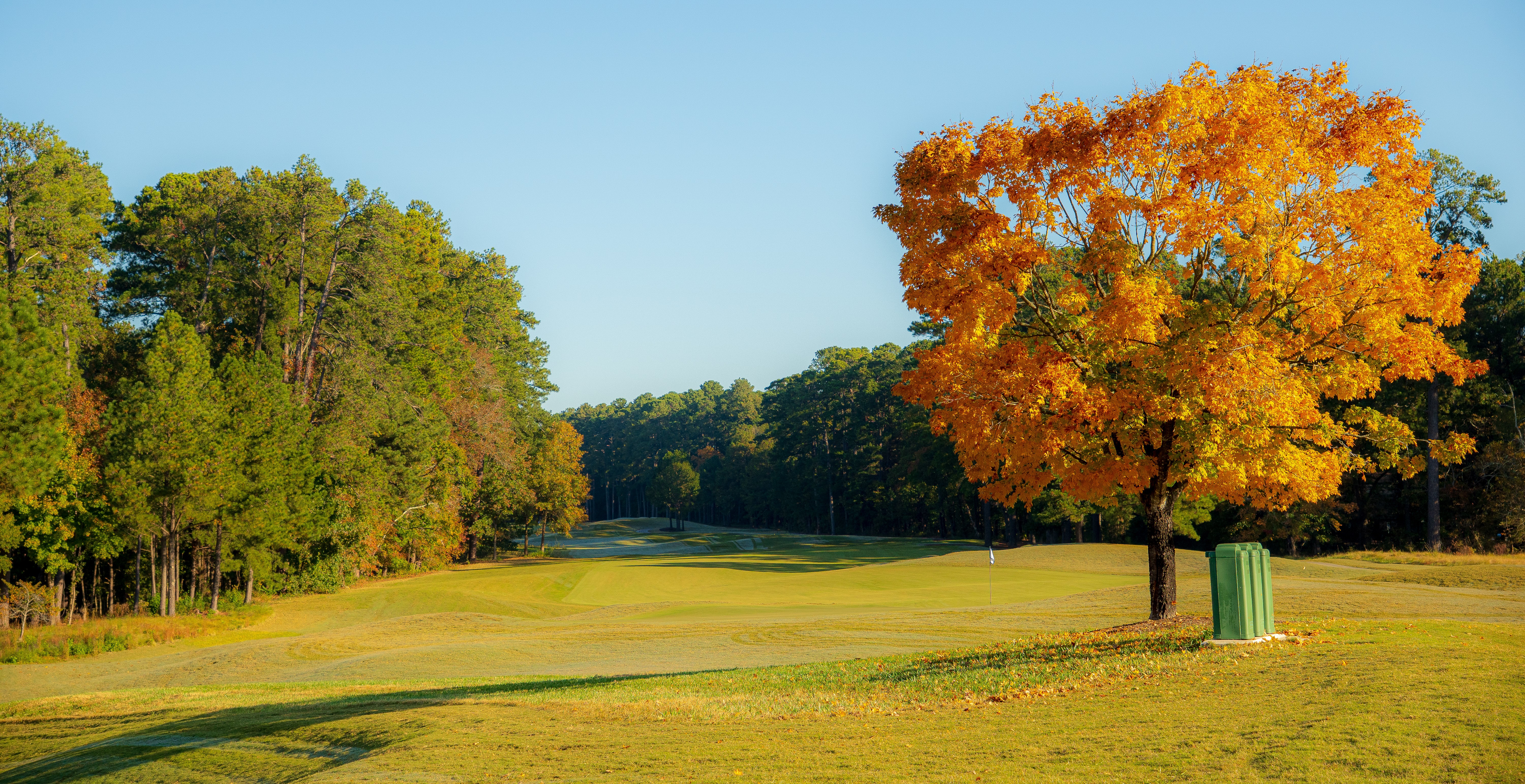Home - UNC Finley Golf Club
